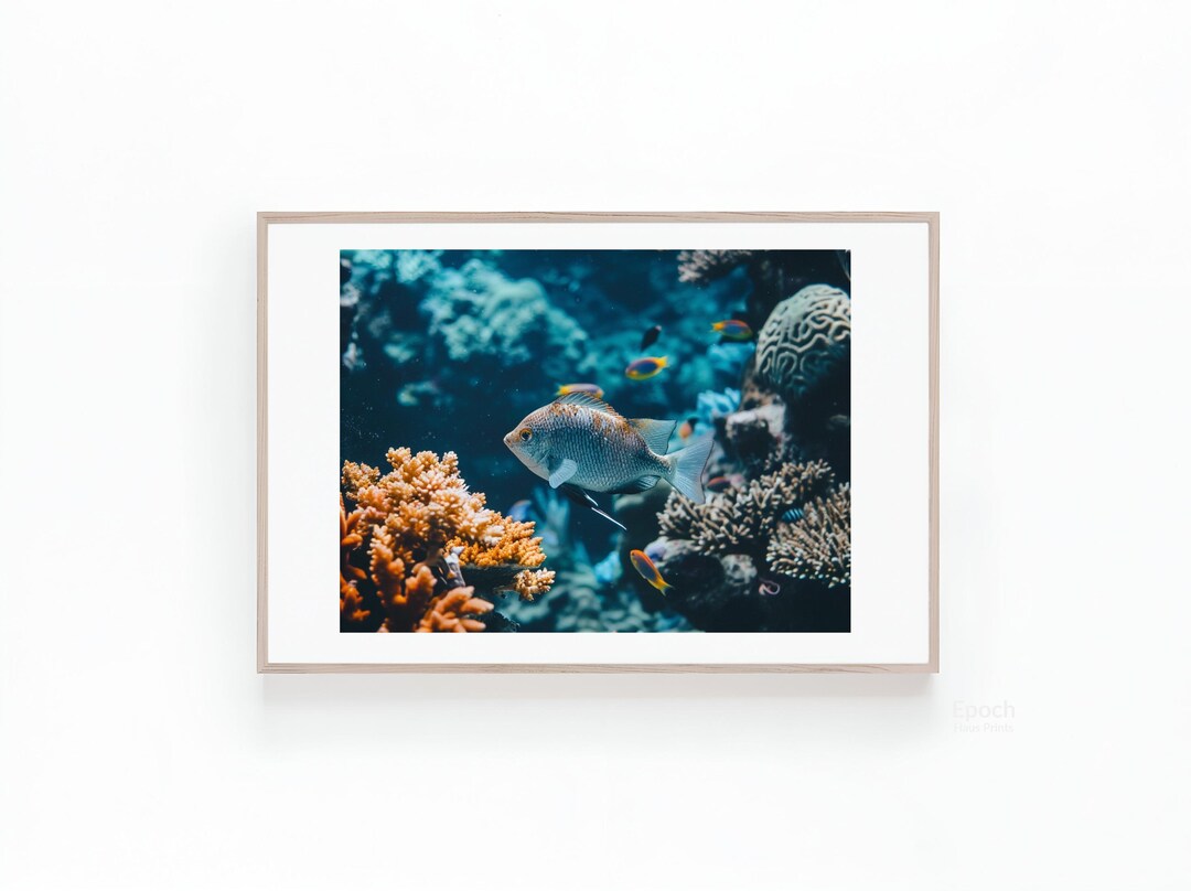 Under Water Photo of Multibar Angel Fish & Coral Reef, Wall Arts, Large ...