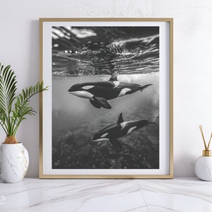 Orcas - Etsy