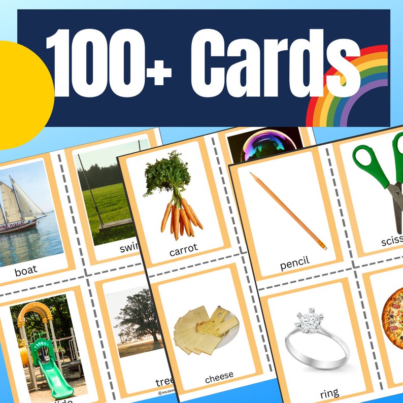 Common Object Picture Cards for Speech Therapy ABA Autism ABLLS-R C14 ...