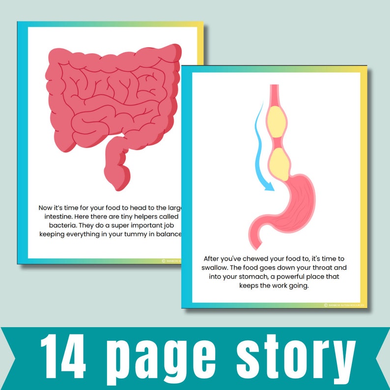 What Happens When You Eat Social Skills Story About Digestion - Etsy