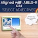 Select Adjectives Speech Therapy Photo Cards Aligned With ABLLS-R C24 ...
