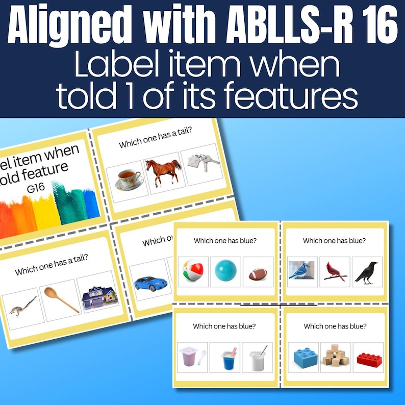 Label Item When Told Feature Printable Speech Therapy Flashcards ...