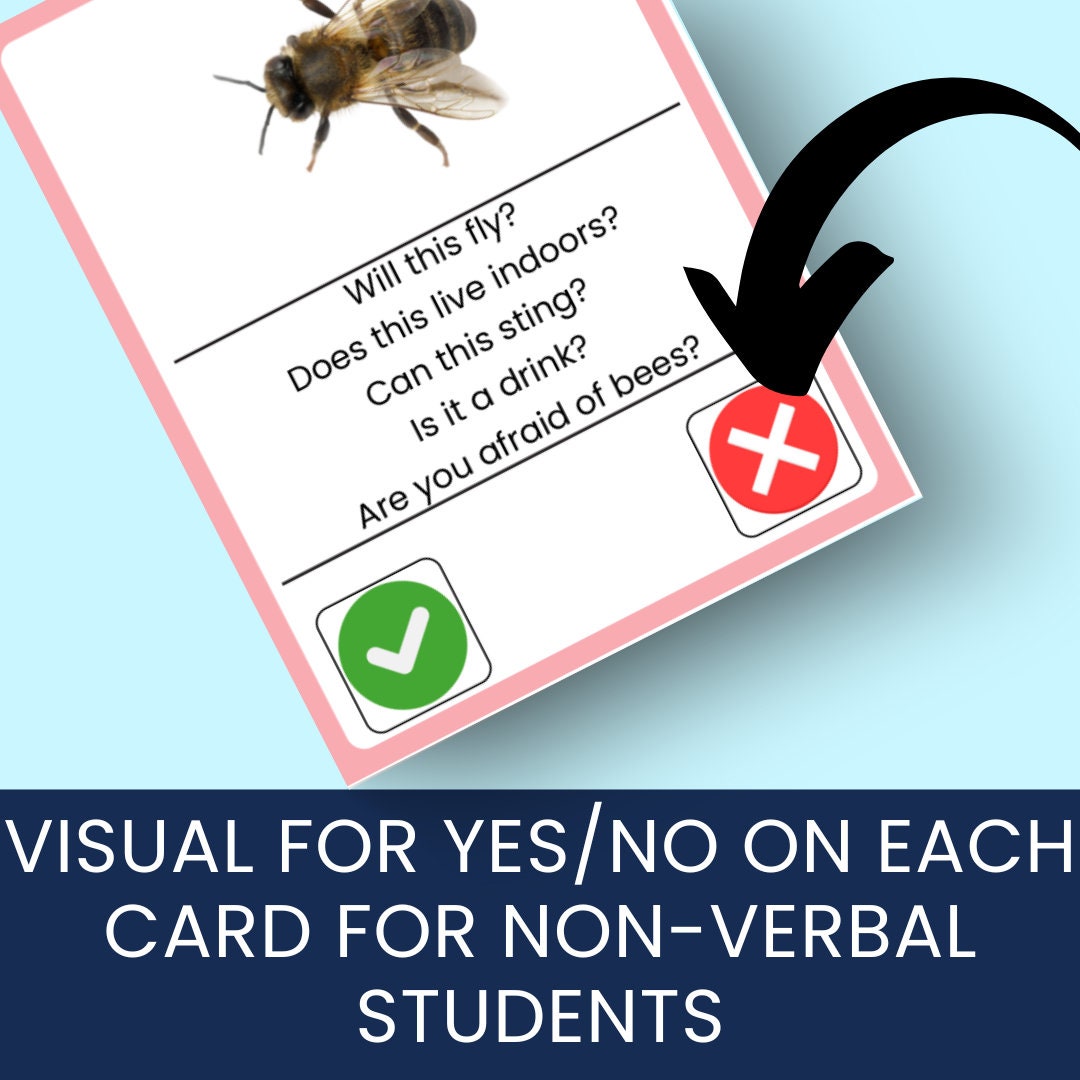 Yes No Question Photo Cards: ABLLS G23 & H37 - Etsy