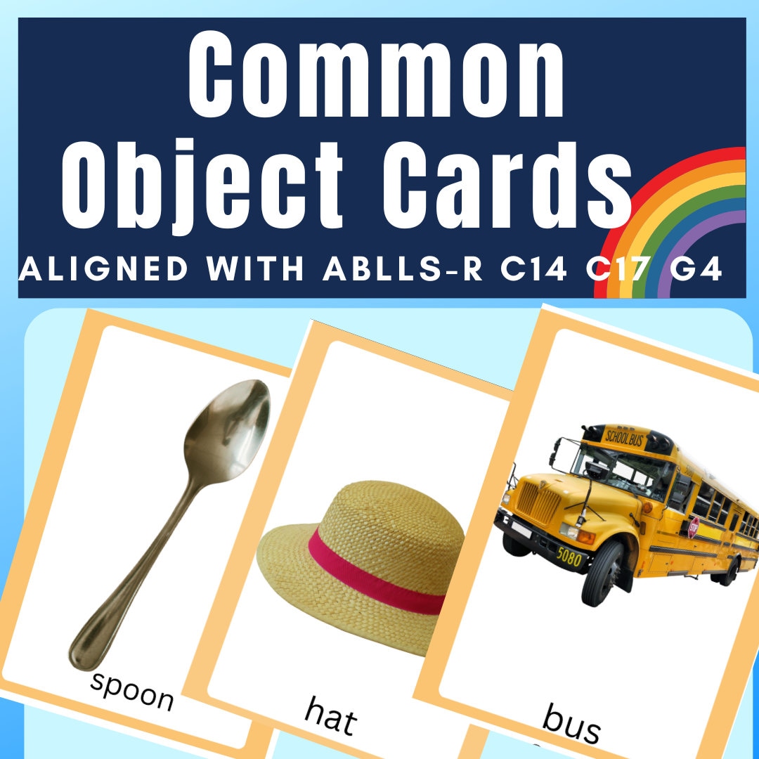 Common Object Picture Cards for Speech Therapy ABA Autism ABLLS-R C14 ...