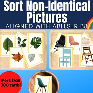 Early Learner Skills Autism Ablls-r Aligned Picture Card Bundle - Etsy