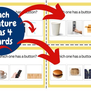 Label Item When Told Feature Printable Speech Therapy Flashcards ...