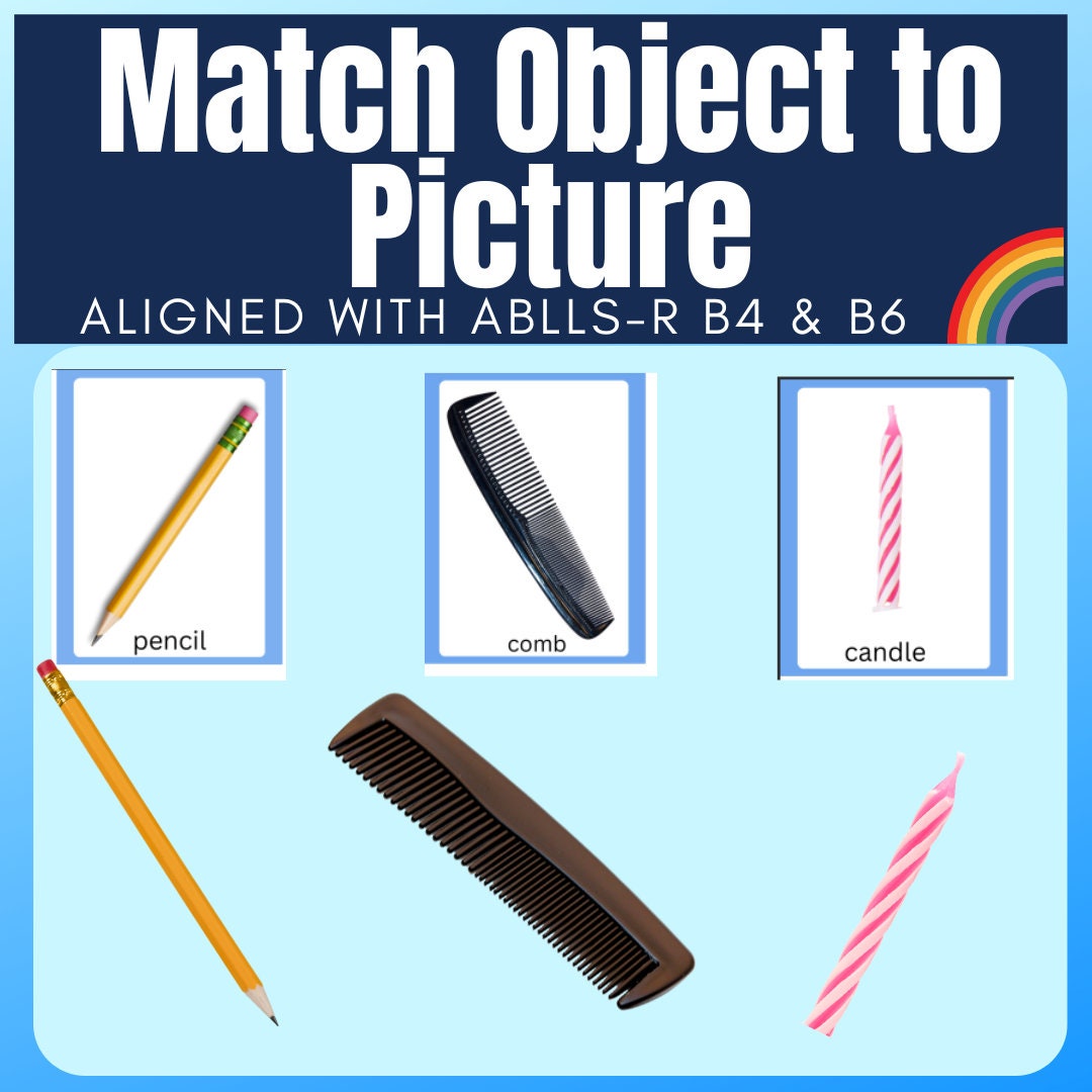 Match Object to Picture Cards for ABA Autism ABLLS-R B4 & B6 With ...