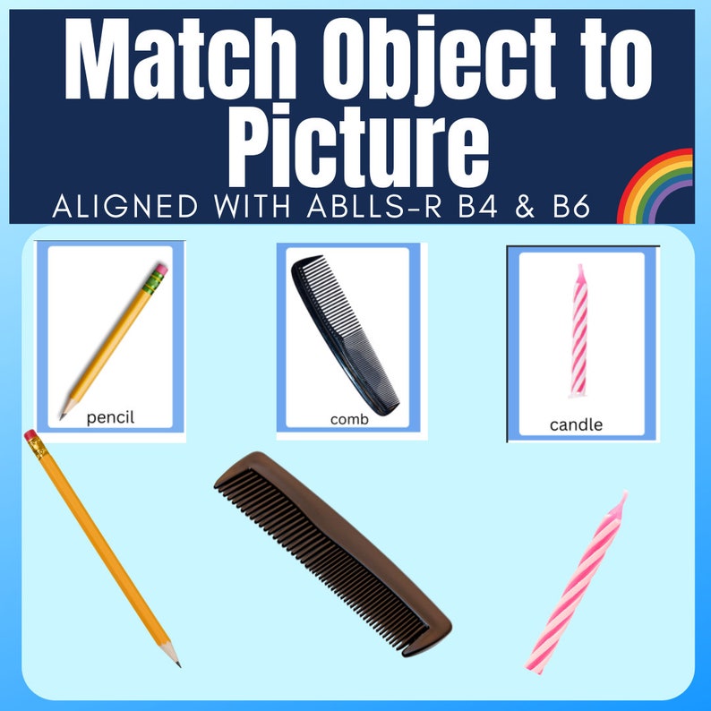 Match Object to Picture Cards for ABA Autism ABLLS-R B4 & B6 With ...