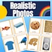 Common Object Picture Cards for Speech Therapy ABA Autism ABLLS-R C14 ...