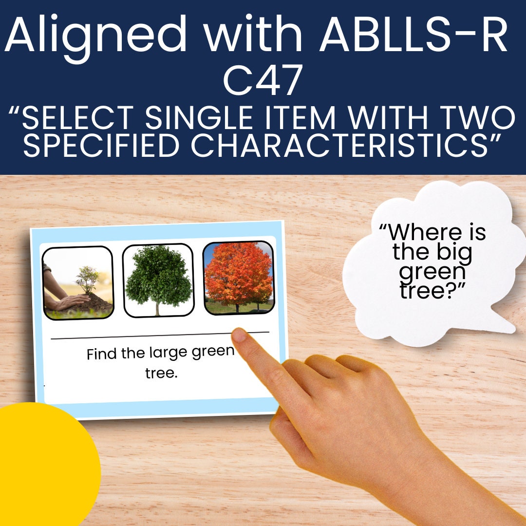 ABLLS C47 Photo Flash Cards: Two Characteristics - Etsy