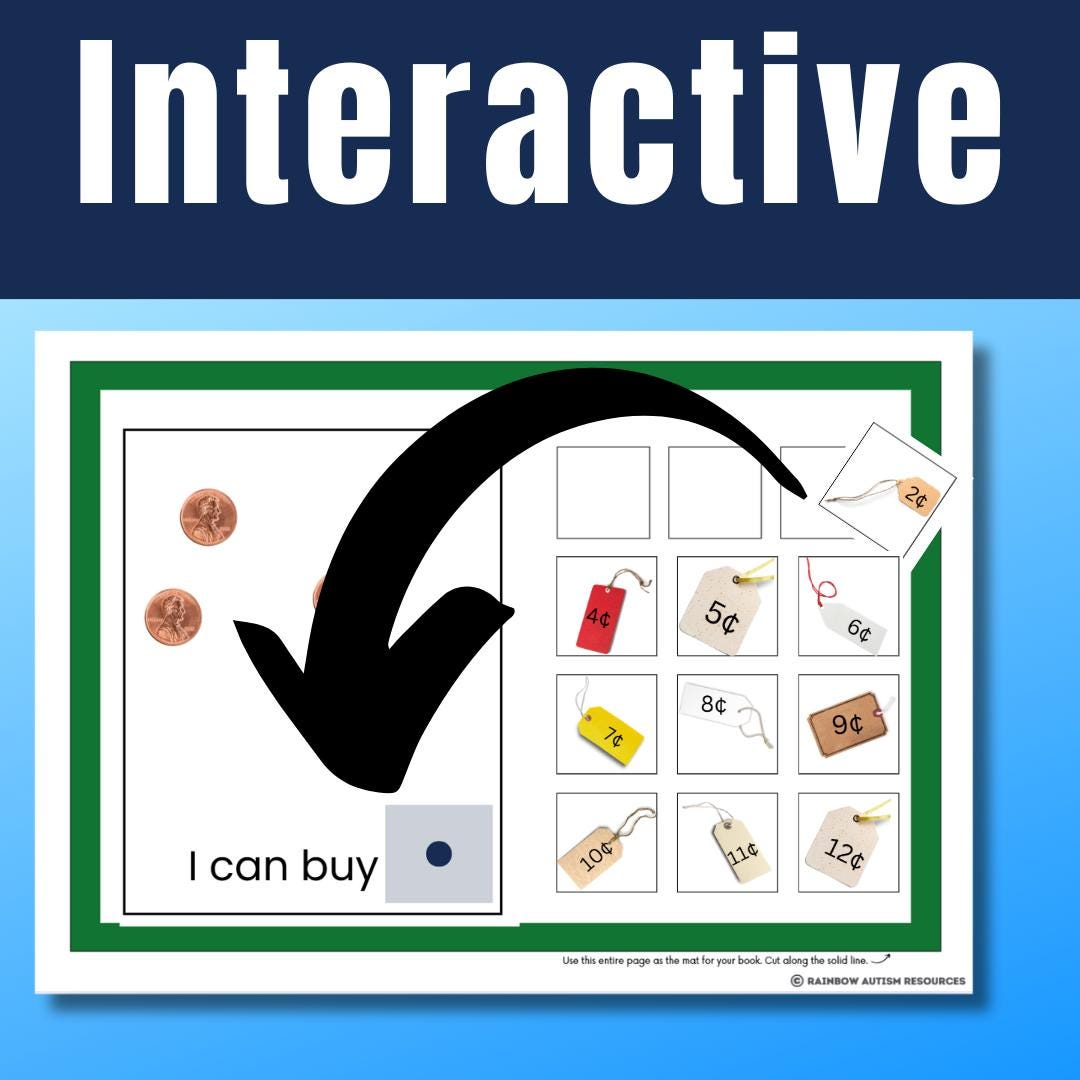 Coin Counting Money Adapted Book Aligned W Ablls-r R24 Count Coins - Etsy