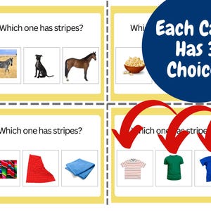 Label Item When Told Feature Printable Speech Therapy Flashcards ...