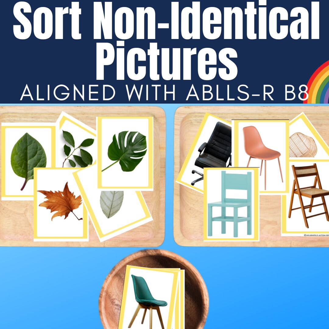 Match Sort Non-identical Pictures for ABA Autism ABLLS-R B8 With Photos ...