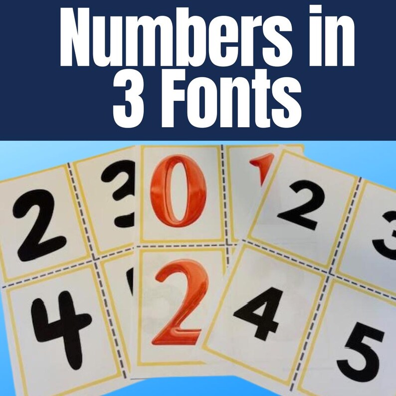 Matching Numbers to Objects Photo Picture Cards Aligned With ABLLS R8 ...