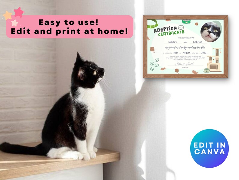 Cat Adoption Certificate, Canva Template, Instant Download, Adopt a Cat ...