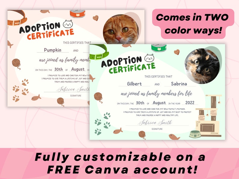 Cat Adoption Certificate, Canva Template, Instant Download, Adopt a Cat ...