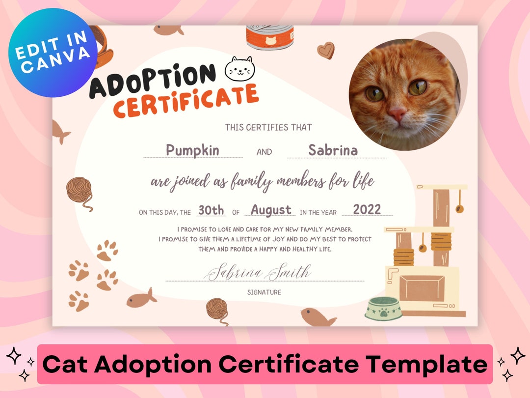 Cat Adoption Certificate Canva Template Instant Download - Etsy