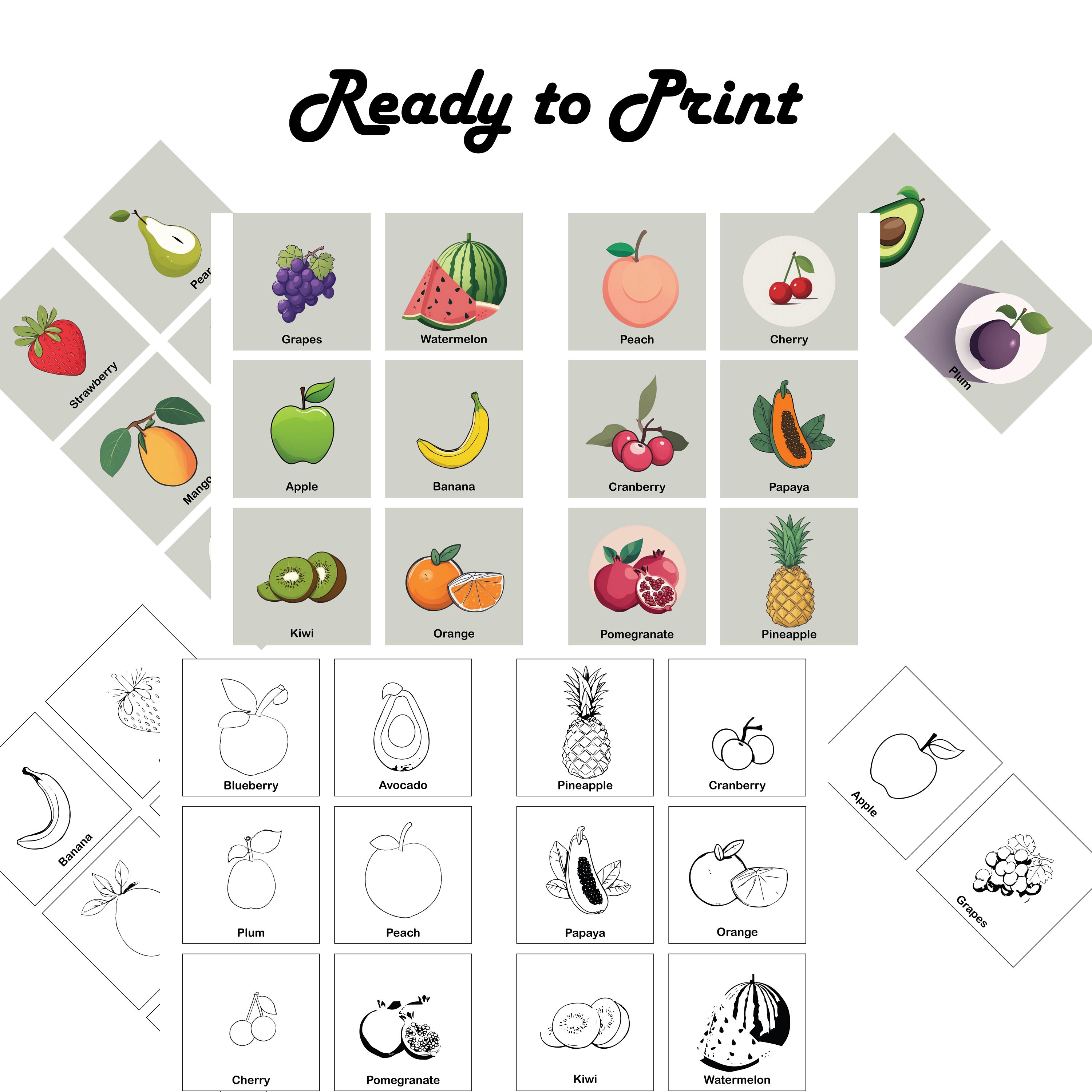 20 Fruits Flash Cards & Fruit Cards to Color, Homeschool Resources ...