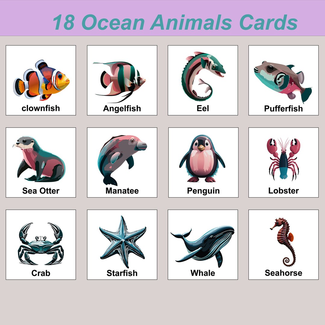 18 Ocean Animal Prints Ocean Animals Fact Cards Montessori - Etsy
