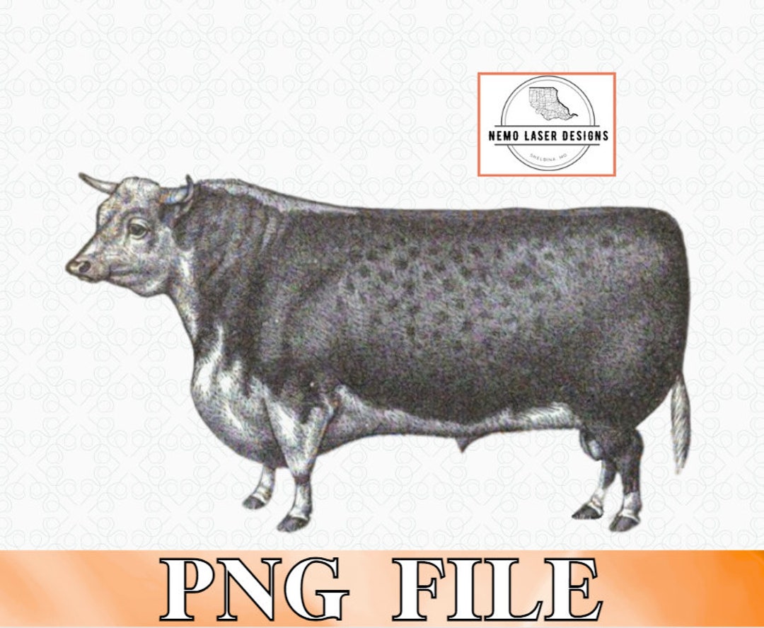 Vintage Bull Sketch Digital File | Cow Vector | Cow PNG | Digital Cow ...