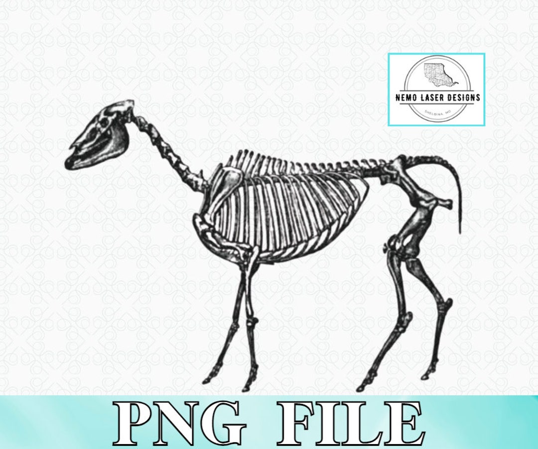 Horse Skeleton Digital File | Horse Vector File | Horse PNG | Halloween ...