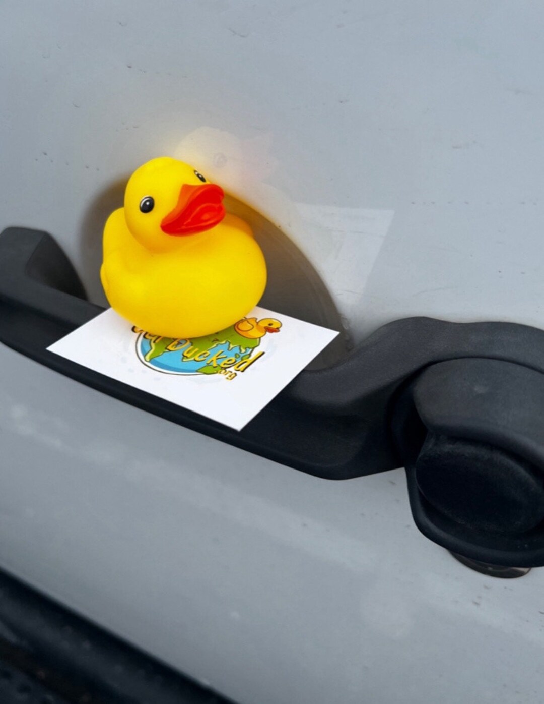 Mapping Original Duck- 5 Pack - Etsy