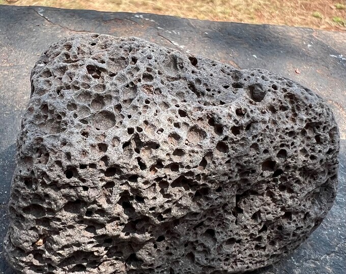 Volcanic Rock Scoria Lava Rock Terrarium - Etsy