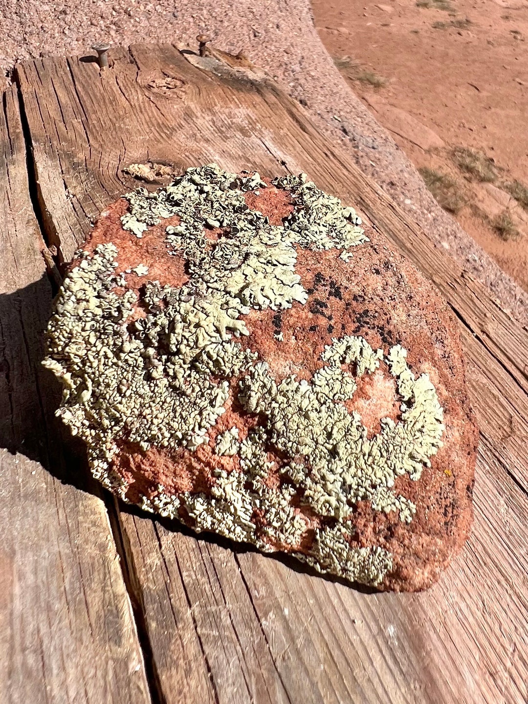 Southwest Lichen Sandstone Rock - Etsy