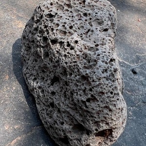 Volcanic Rock Scoria Lava Rock Terrarium - Etsy