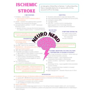 Ischemic Stroke Nursing Notes - Etsy