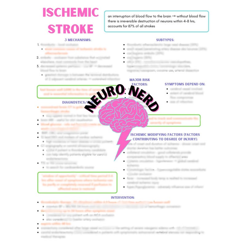 Ischemic Stroke Nursing Notes - Etsy