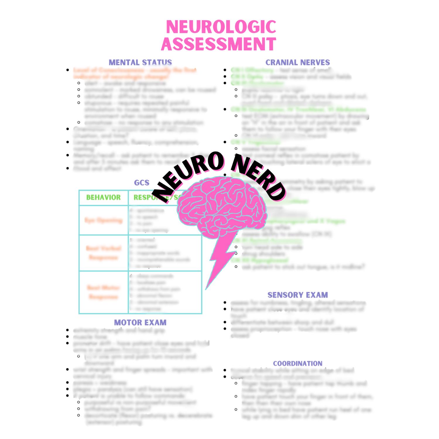 Neurologic Nursing Assessment - Etsy