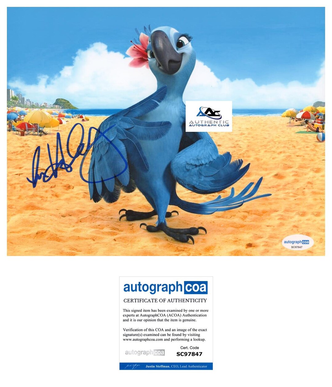 Anne Hathaway Autograph Signed 8x10 Photo Rio Acoa - Etsy