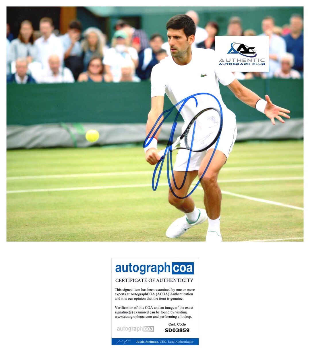 Novak Djokovic Autograph Signed 8x10 Photo Us Open Wimbledon Tennis ...