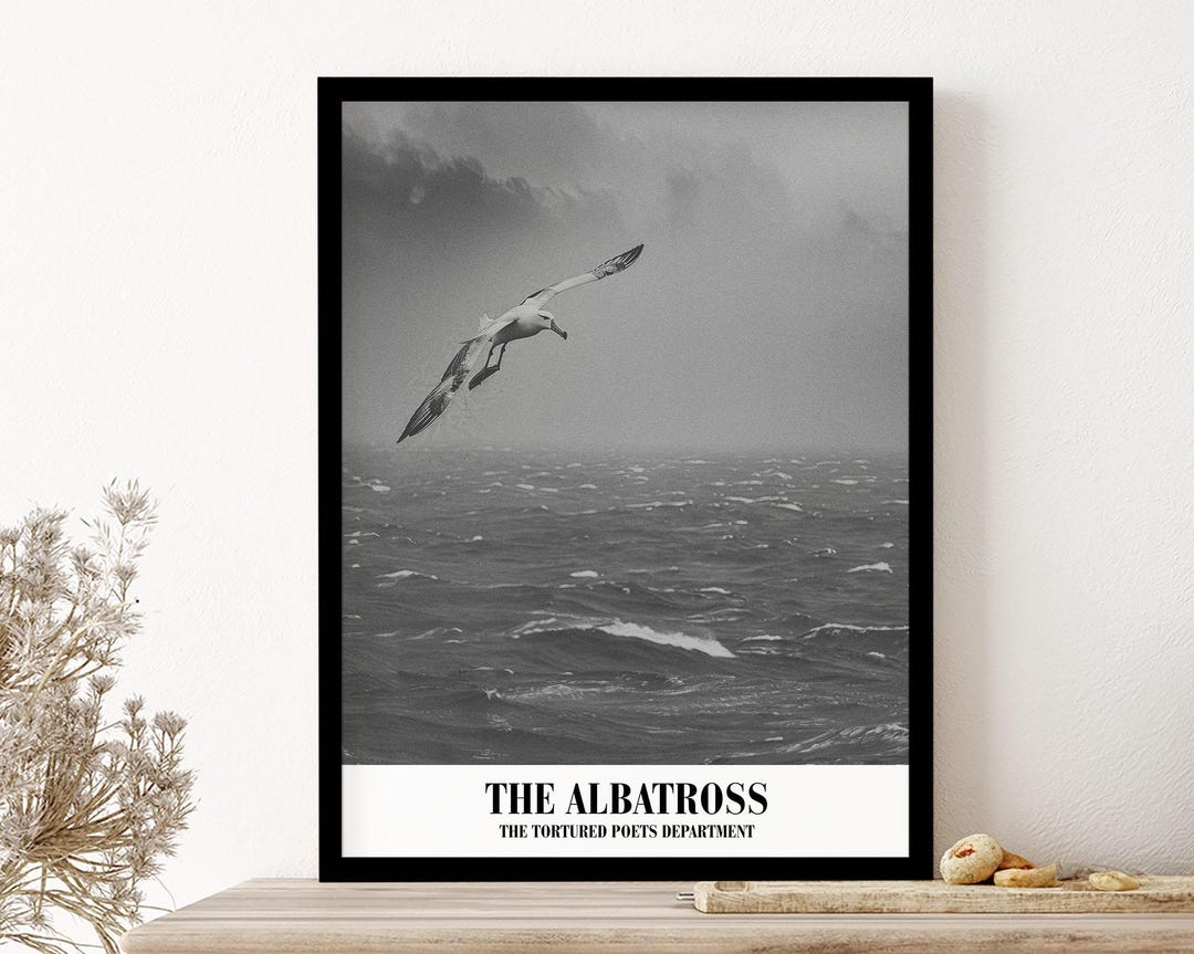 Taylor Swift the Albatross Ttpd Swifie Song Wall Art Print Poster ...