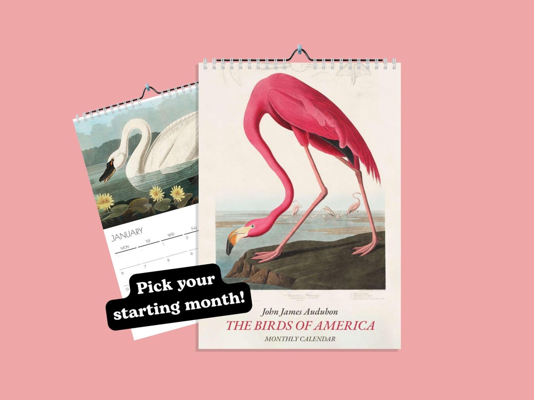 2025 Calendar John James Audubon Wall Calendars Vintage Art ...