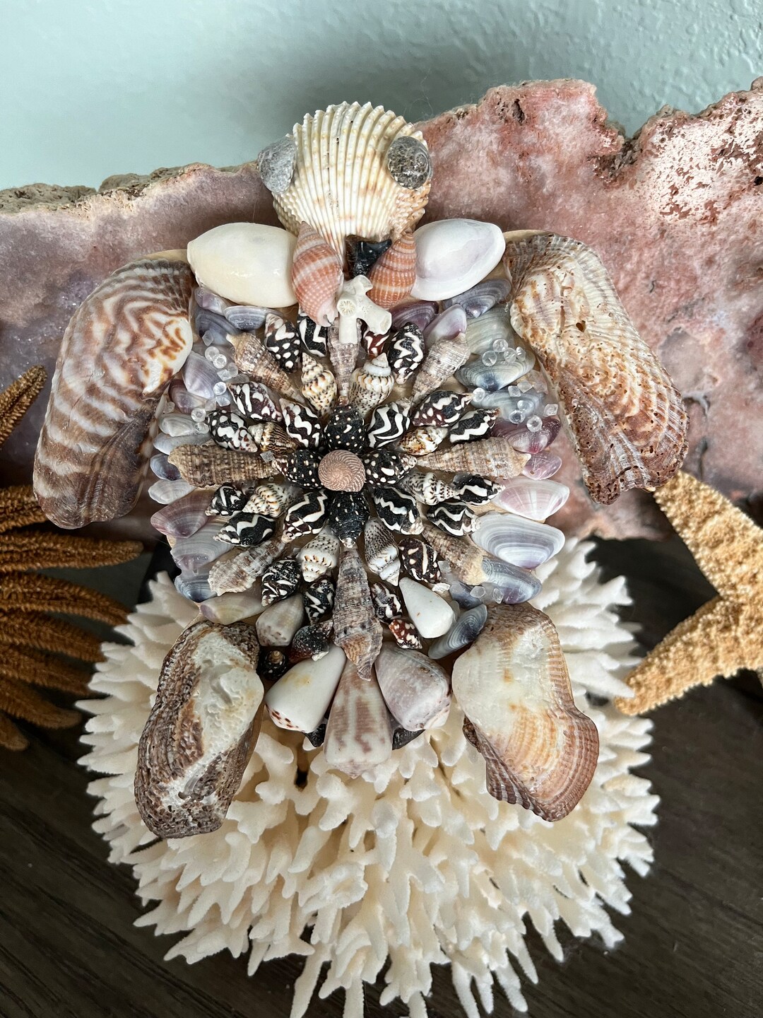 Turtle Shell Art - Etsy