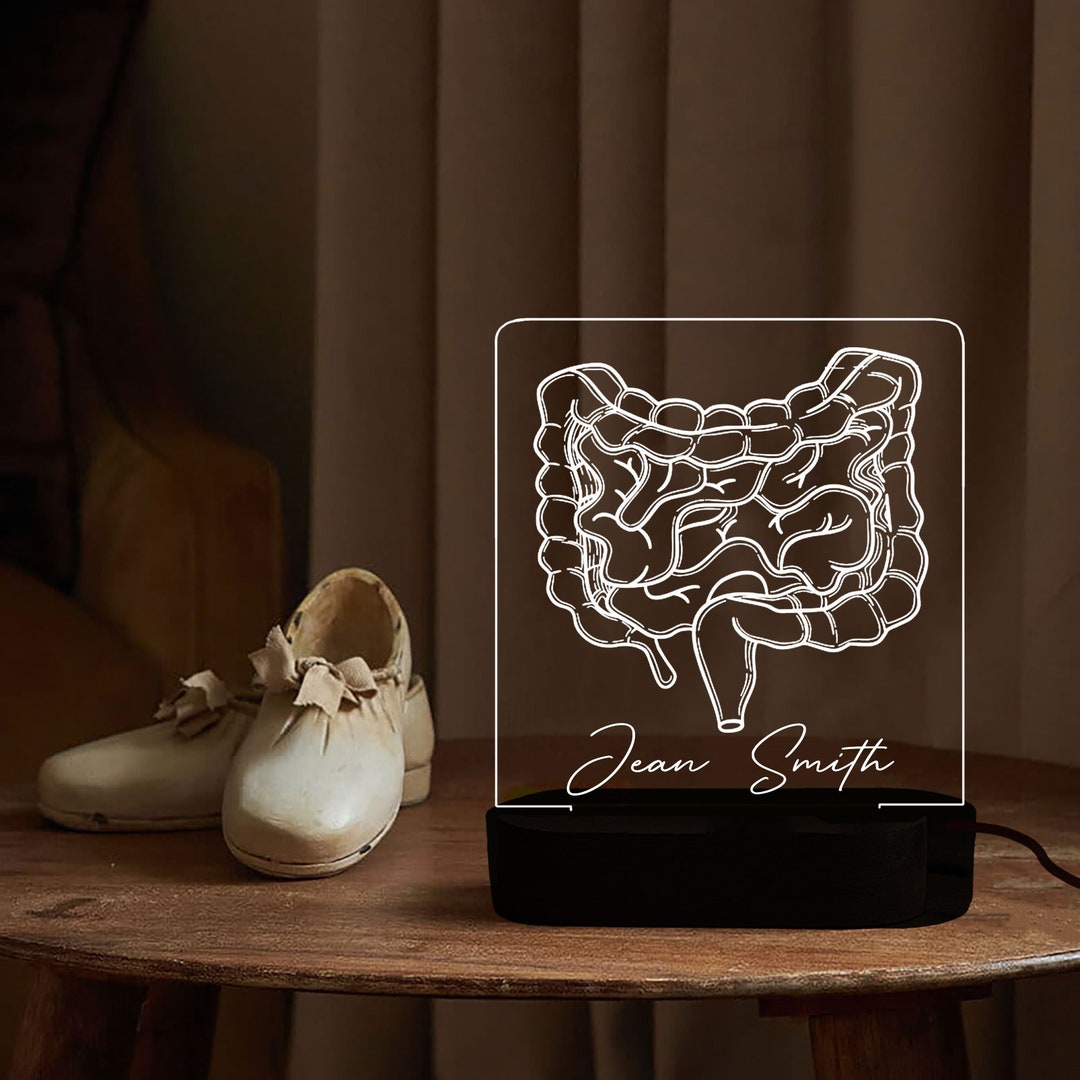 Intestine Night Light, Digestive Gift, Gastrointestinal Decor, Colon ...