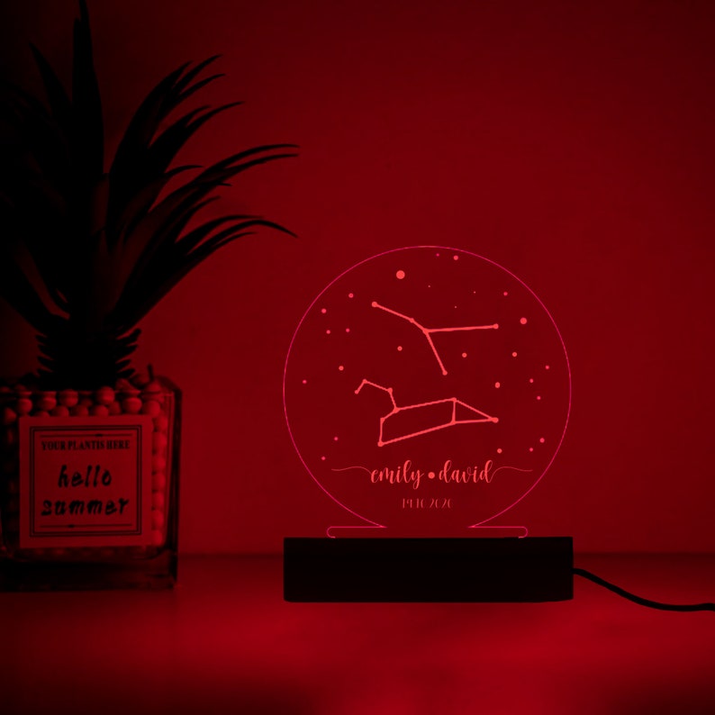 Zodiac Sign Custom Night Light,astrology Night Light,celestial Zodiac ...