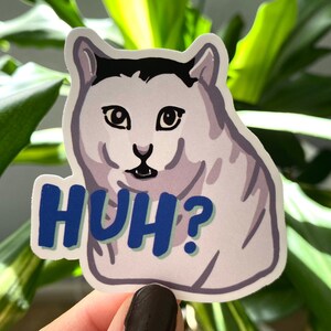 Confused Cat Sticker - Etsy