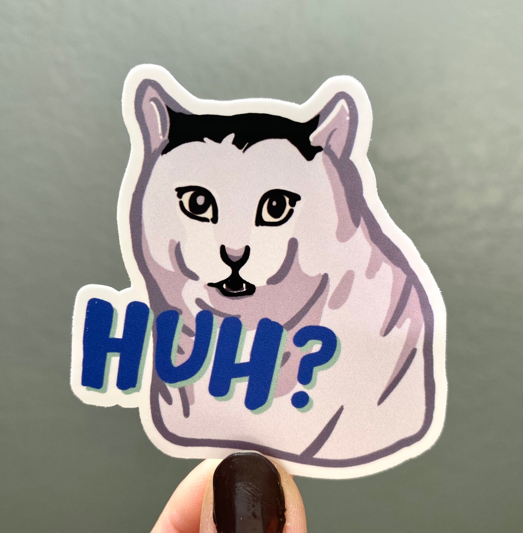 Confused Cat Sticker - Etsy