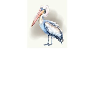 Pelican Art Digital Wall Print,coastal Wall Decor, Nautical Wildlife ...