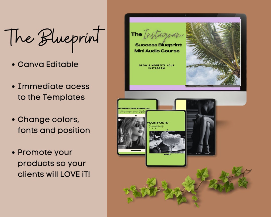 Instagram Growth Blueprint Mini Course | Master Resell Rights | MRR Course | Digital Marketing ...