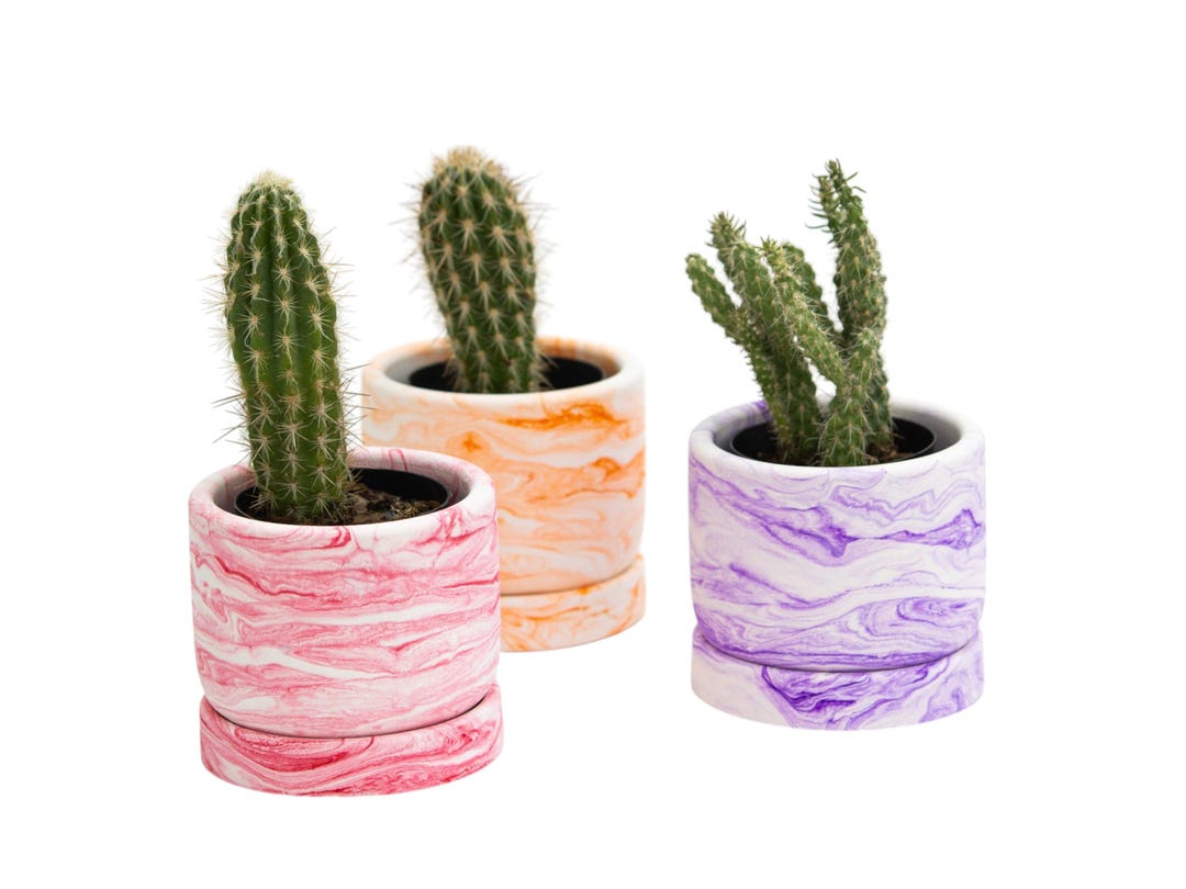 3" Concrete Planter With Tray, Planter With Drainage Hole, Indoor ...