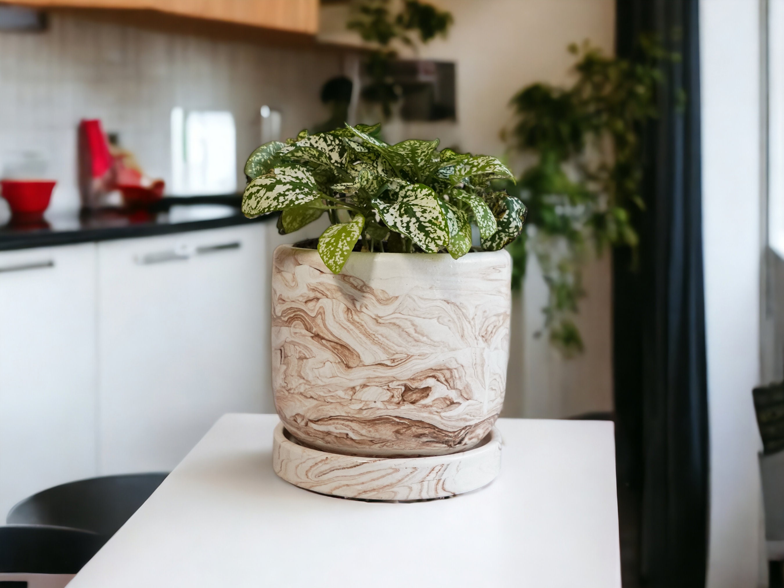 Concrete Planter With Drainage, Unique Planter for Office Desk, Outdoor Planters, Handmade ...