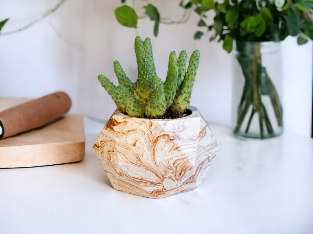 Geometric Planter, Home Office Desk Plant Pot, Cactus Planter, Cute ...