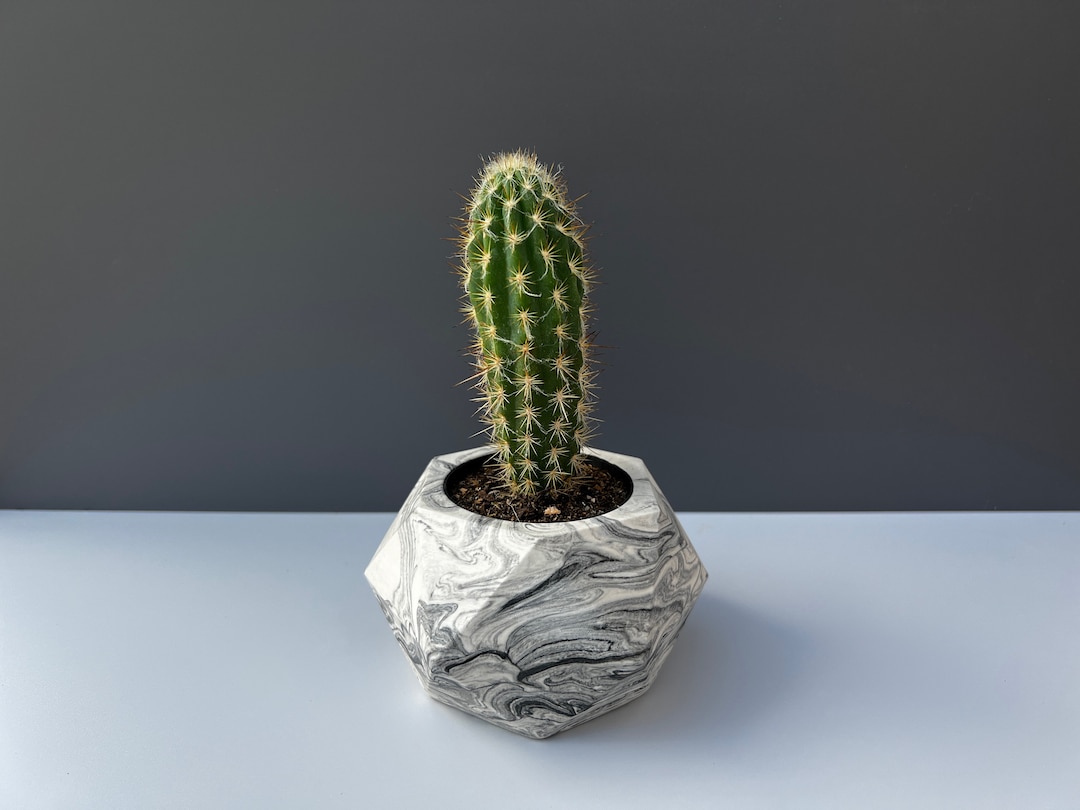 Geometric Concrete Planter for New Job Gift Unique Planter - Etsy