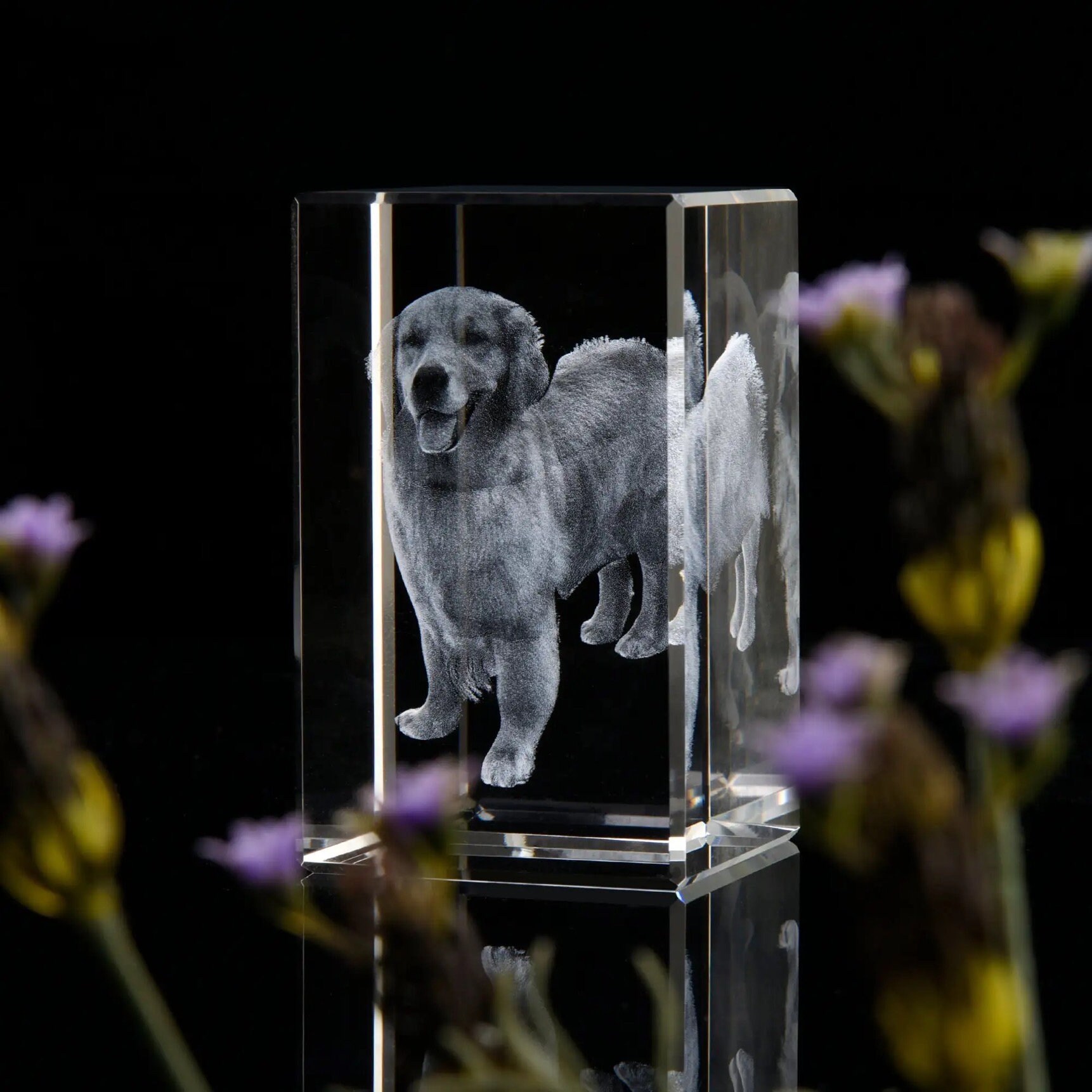 Custom Engraved Crystal Photo Pet Memorial Decor, Personalized Animal ...