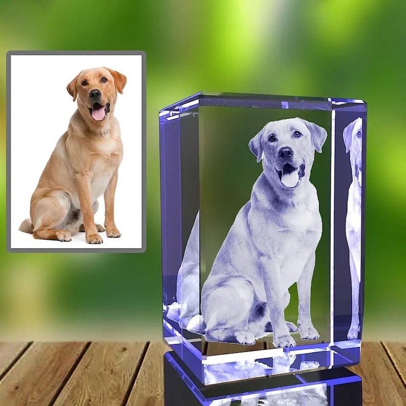 Custom Engraved Crystal Photo Pet Memorial Decor, Personalized Animal ...