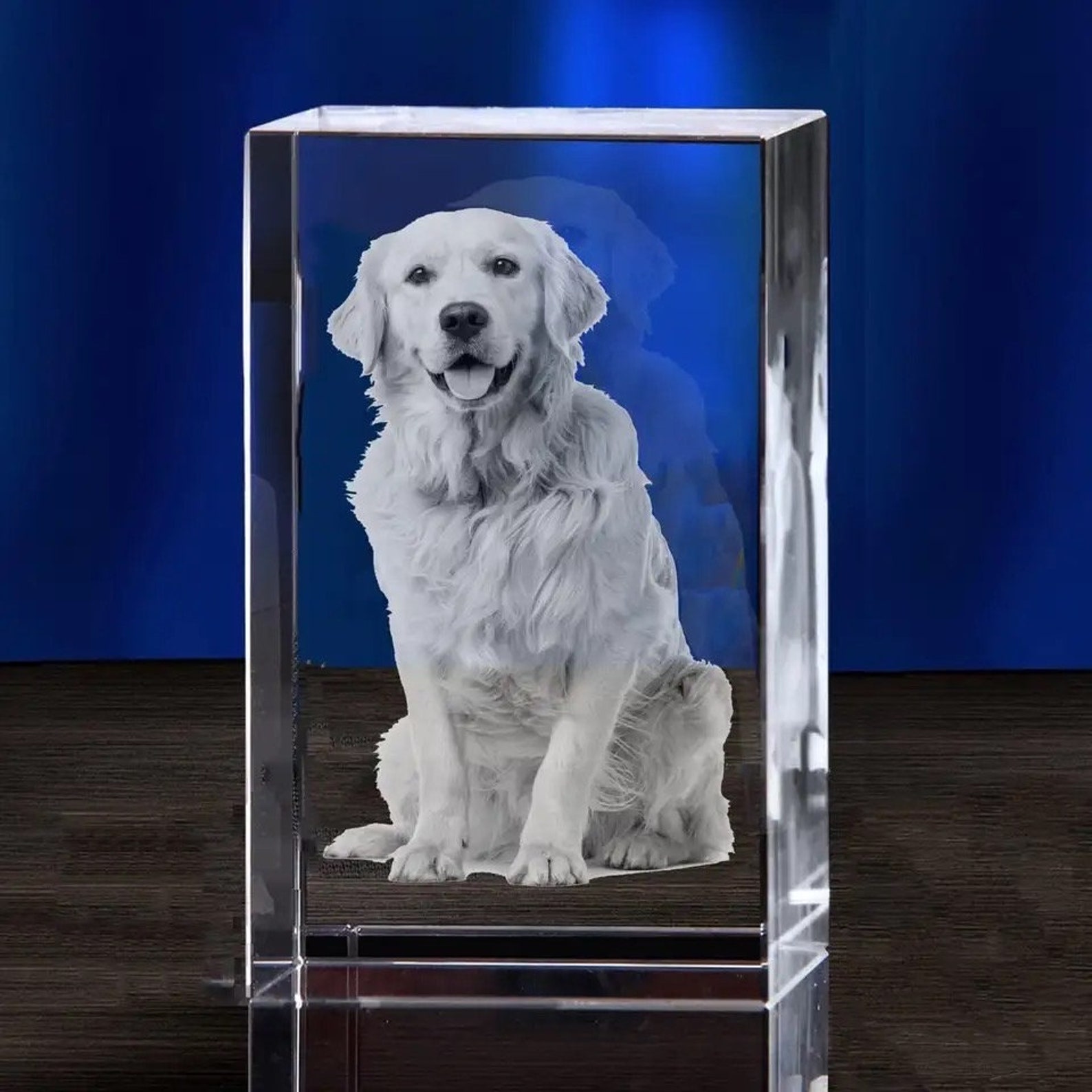Custom Engraved Crystal Photo Pet Memorial Decor, Personalized Animal ...